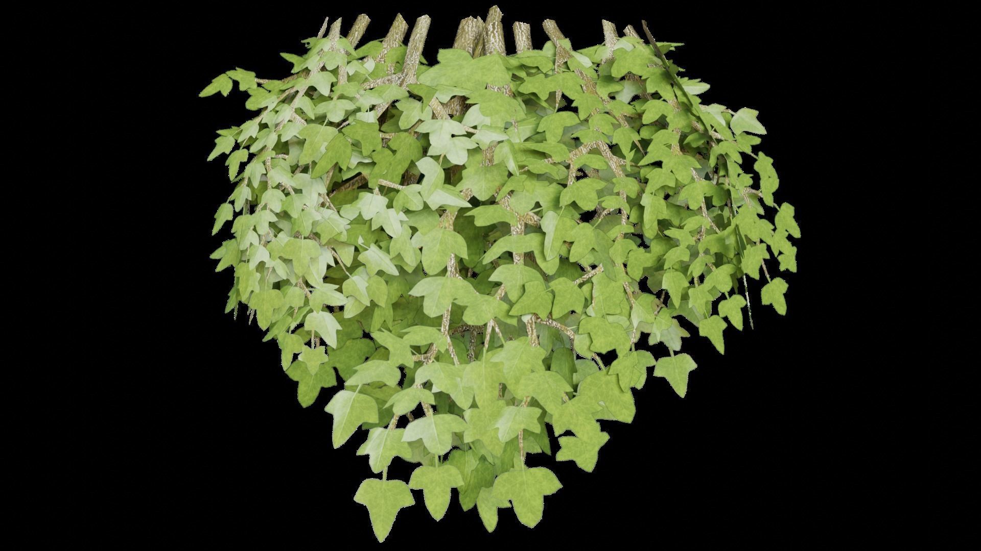 3D model Hanging Ivy Plants VR / AR / low-poly | CGTrader
