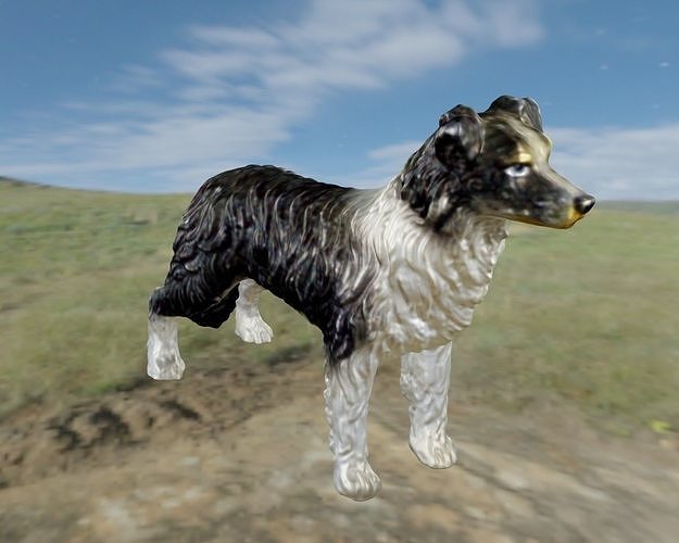 Border Collie 3D model 3D printable | CGTrader