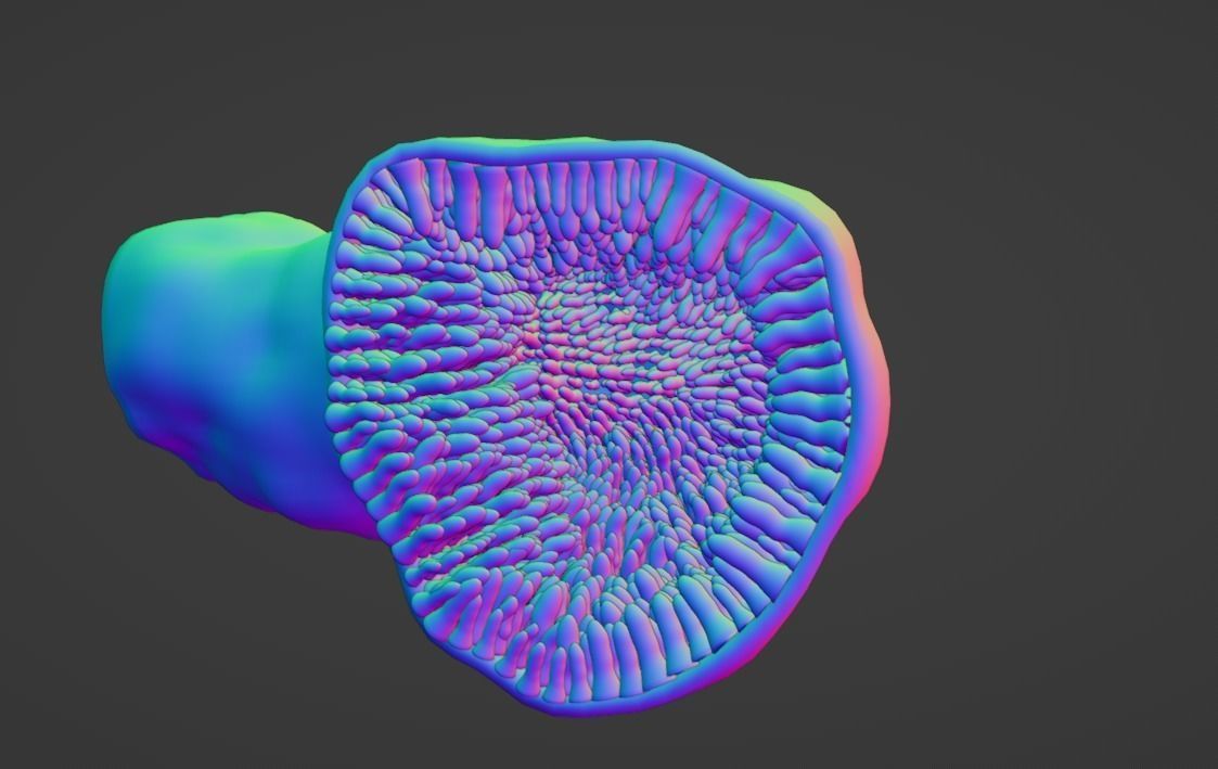 3D model villi 3D model Intestinal VR / AR / low-poly | CGTrader