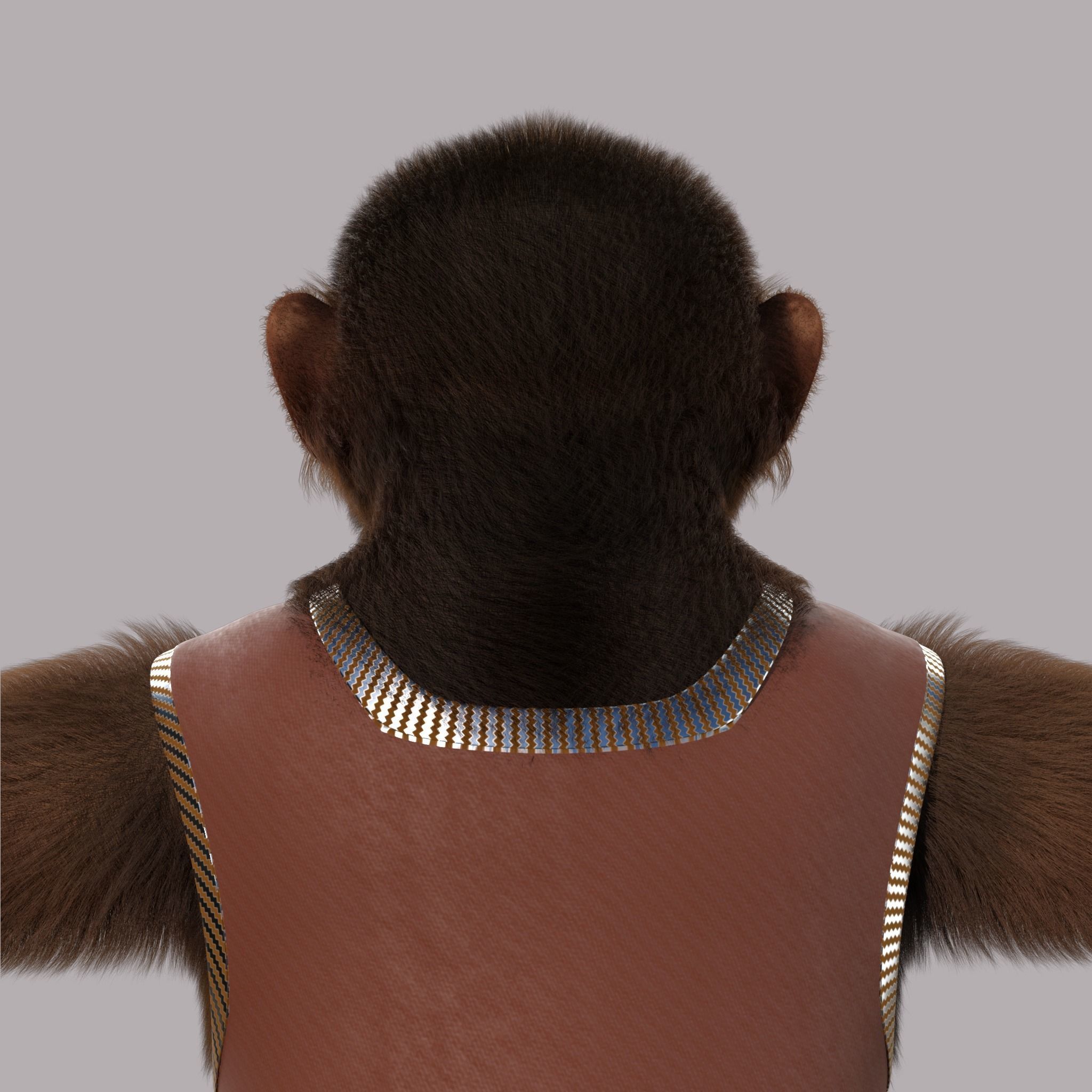 Cartoon Monkey NoRig 3D model | CGTrader