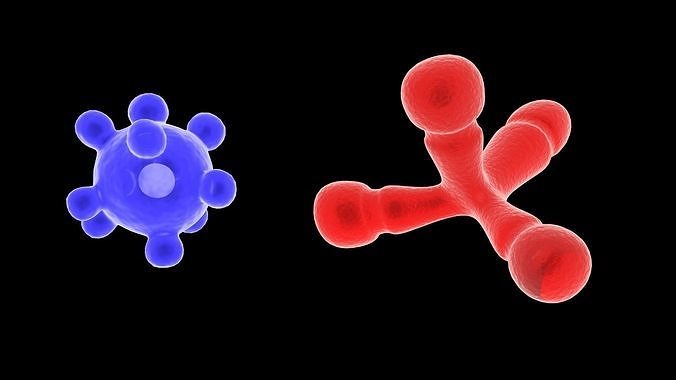 protist organism virus microscopic anatomy medicine 3D model | CGTrader