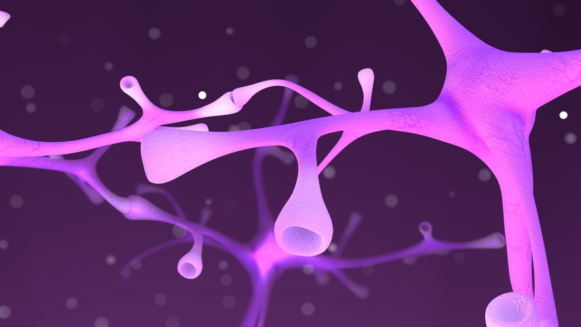 3D model Nerve Cell VR / AR / low-poly | CGTrader