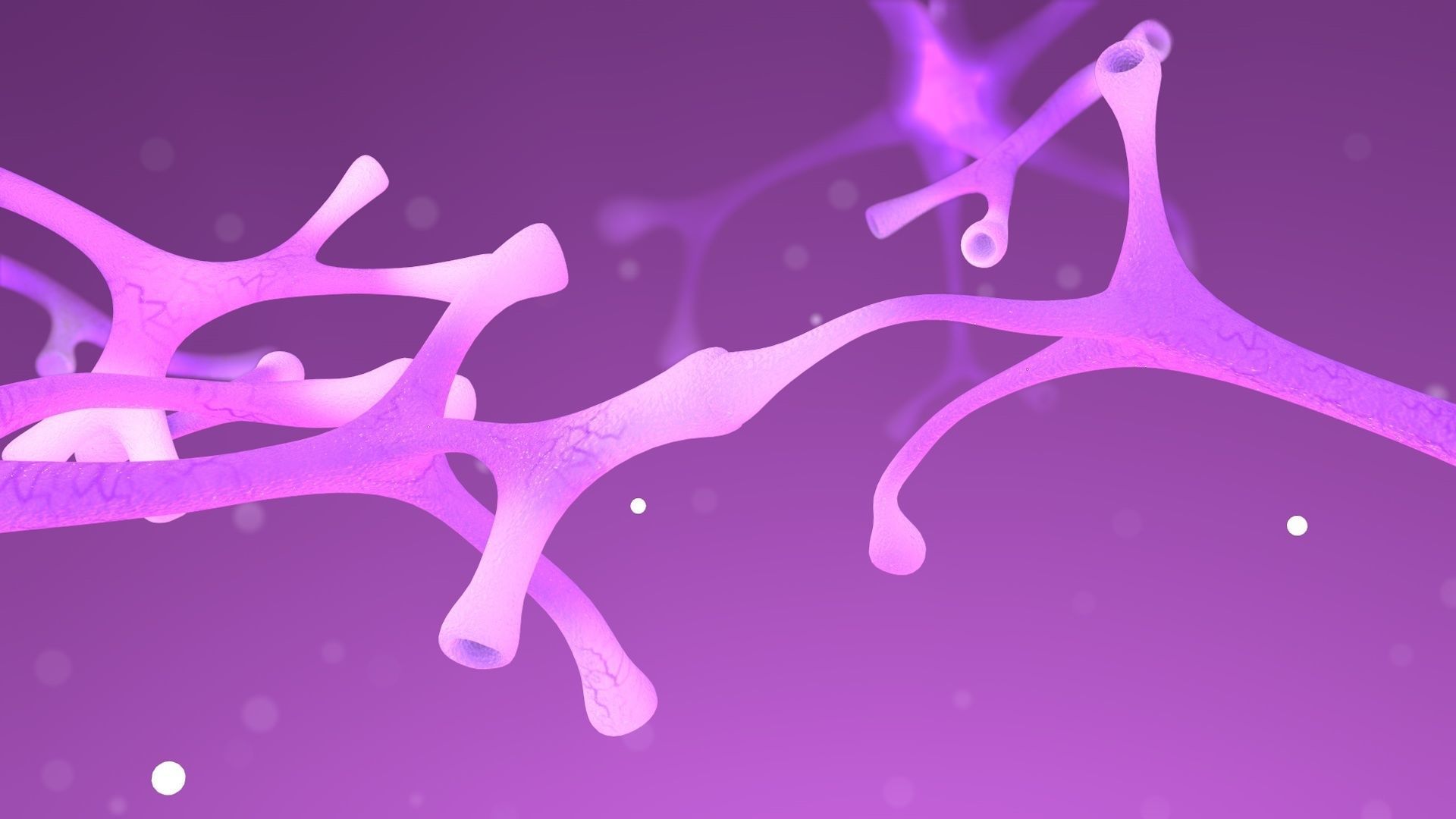 3D model Nerve Cell VR / AR / low-poly | CGTrader