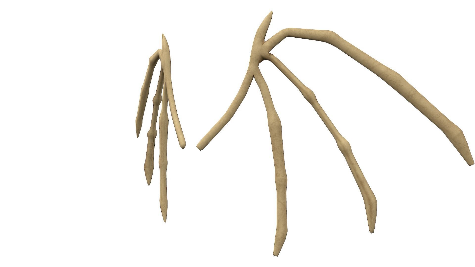 3D model Bone Demon Wing VR / AR / low-poly | CGTrader