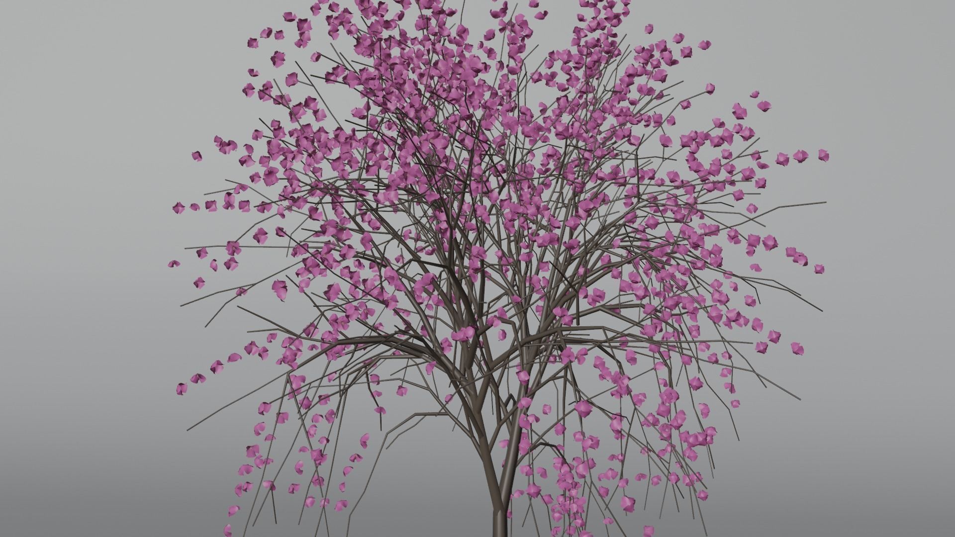 Model Japan Sakura Tree free 3D model | CGTrader