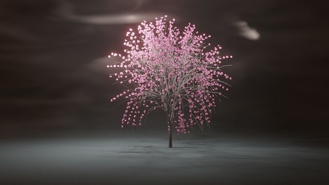 Model Japan Sakura Tree free 3D model | CGTrader