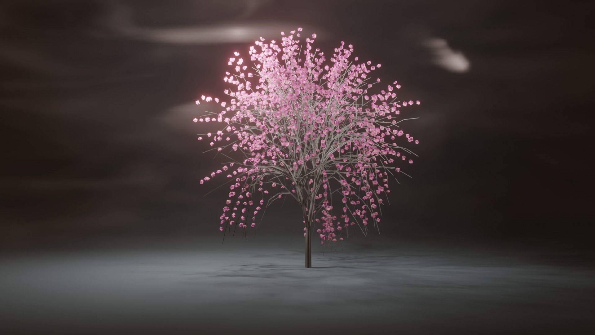 Model Japan Sakura Tree free 3D model | CGTrader