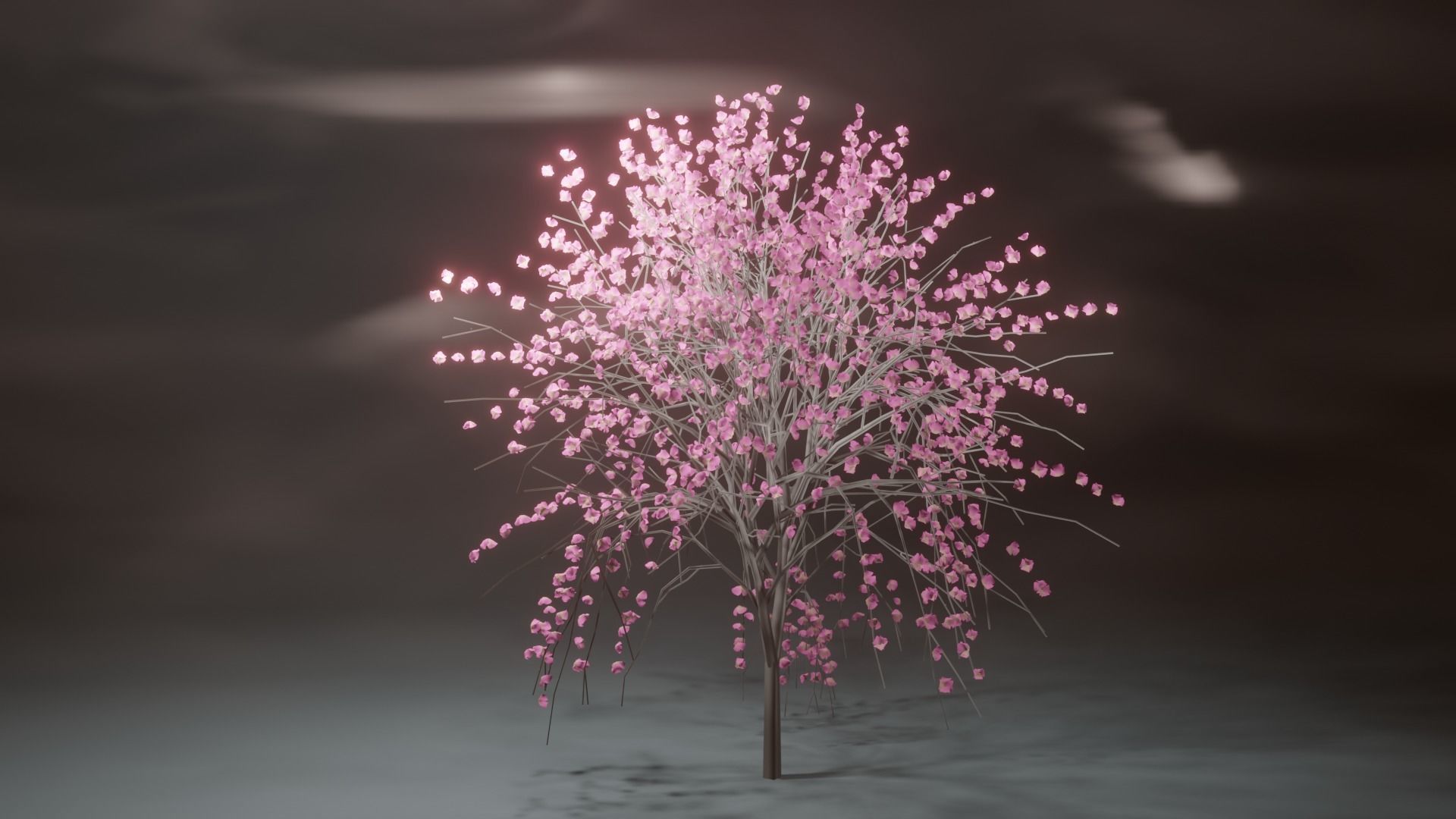Model Japan Sakura Tree free 3D model | CGTrader