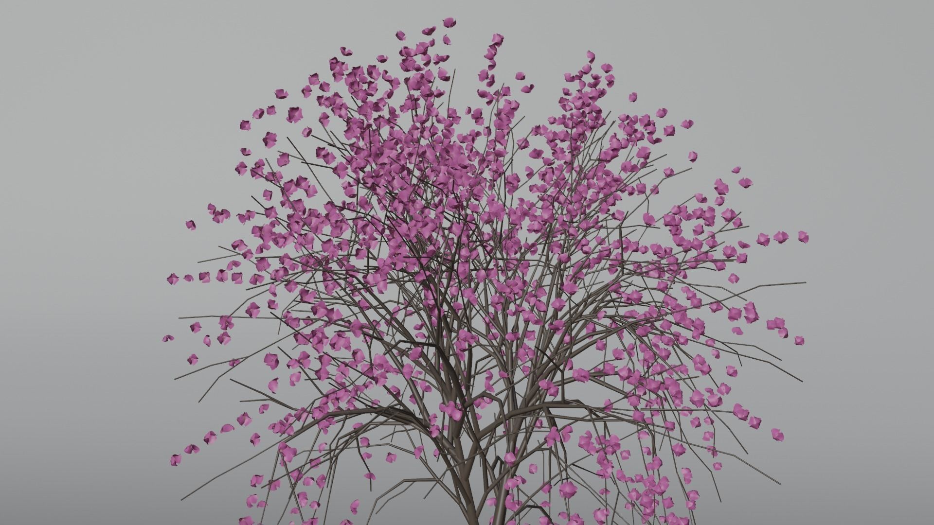 Model Japan Sakura Tree free 3D model | CGTrader