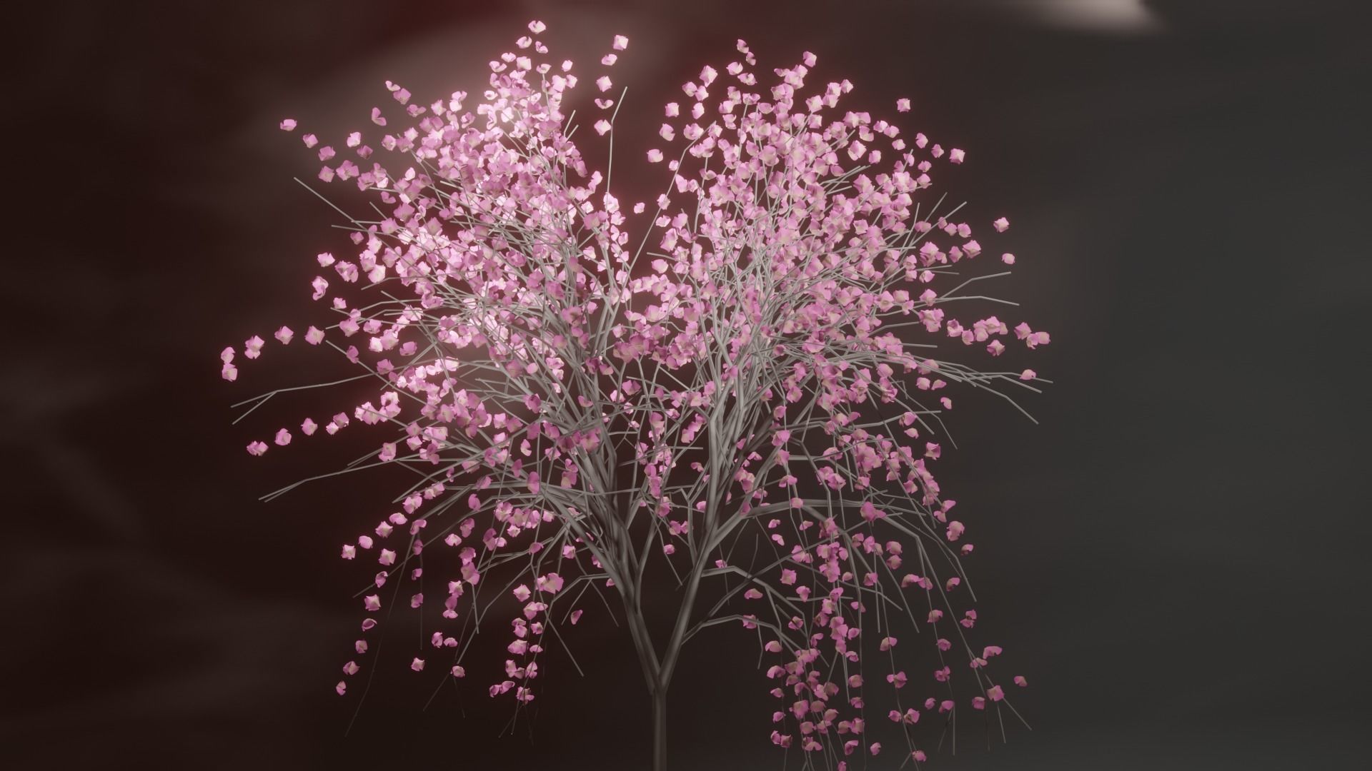 Model Japan Sakura Tree free 3D model | CGTrader