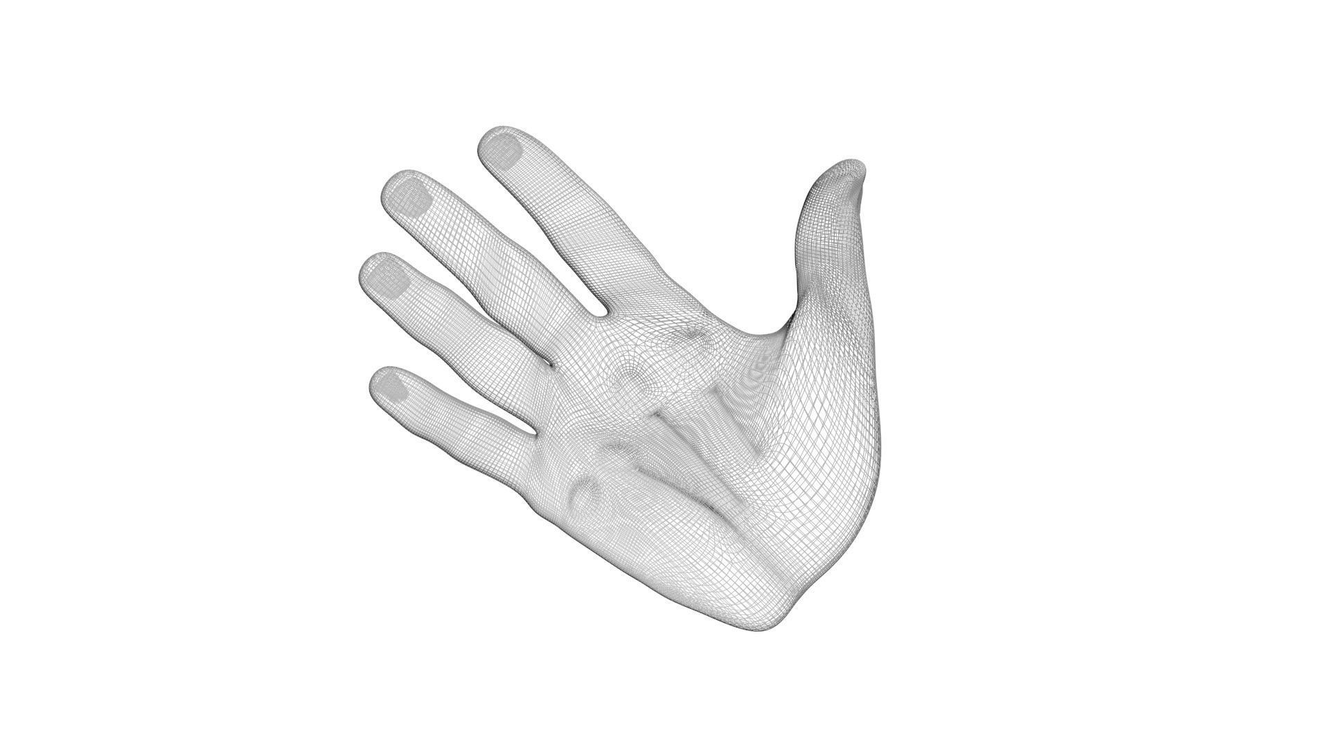 Human Hands 3D model | CGTrader
