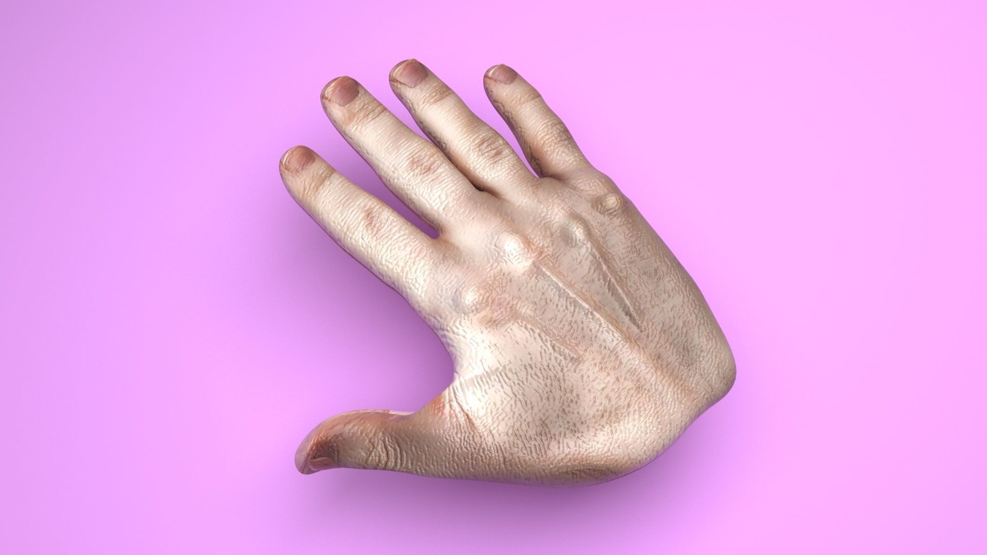Human Hands 3D model | CGTrader