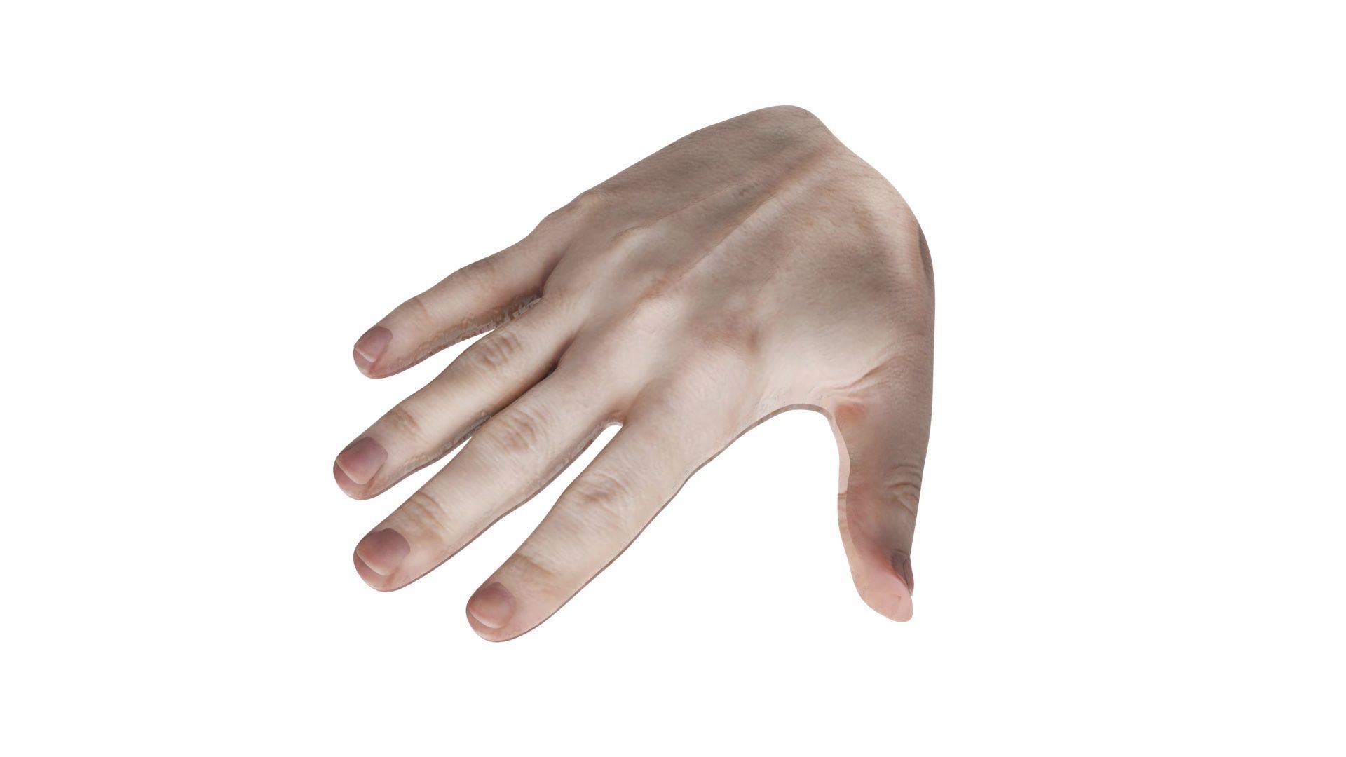 Human Hands 3D model | CGTrader