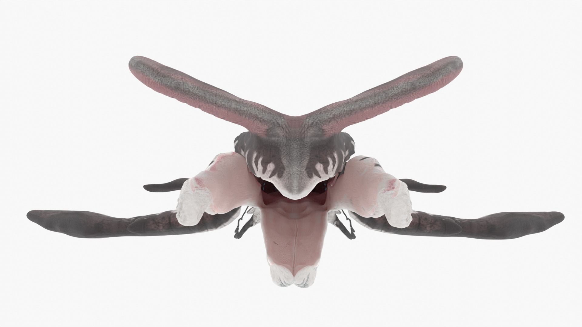 3D model Tulkun from Avatar Rigged 3D Model VR / AR / low-poly | CGTrader