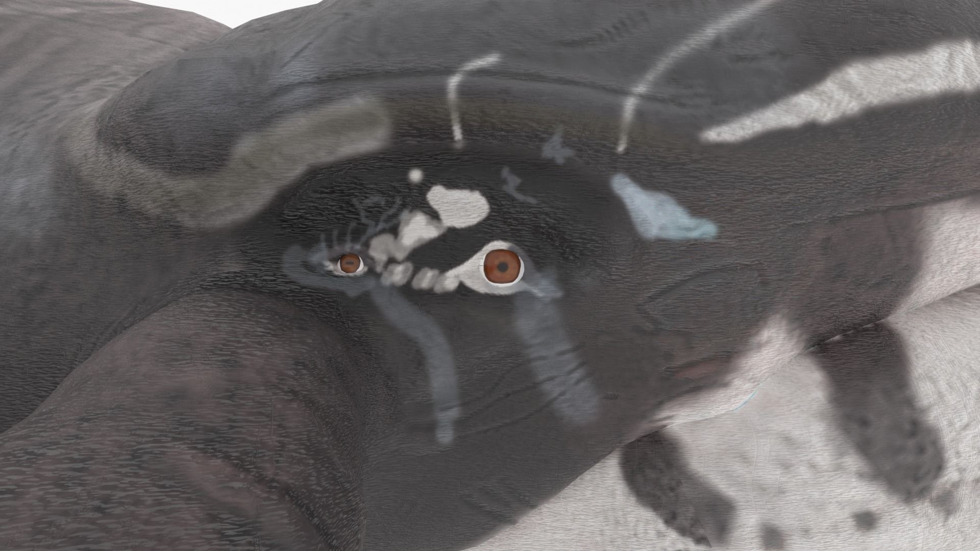 3D model Tulkun from Avatar Rigged 3D Model VR / AR / low-poly | CGTrader