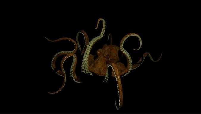 Octopus Pose 3D model | CGTrader