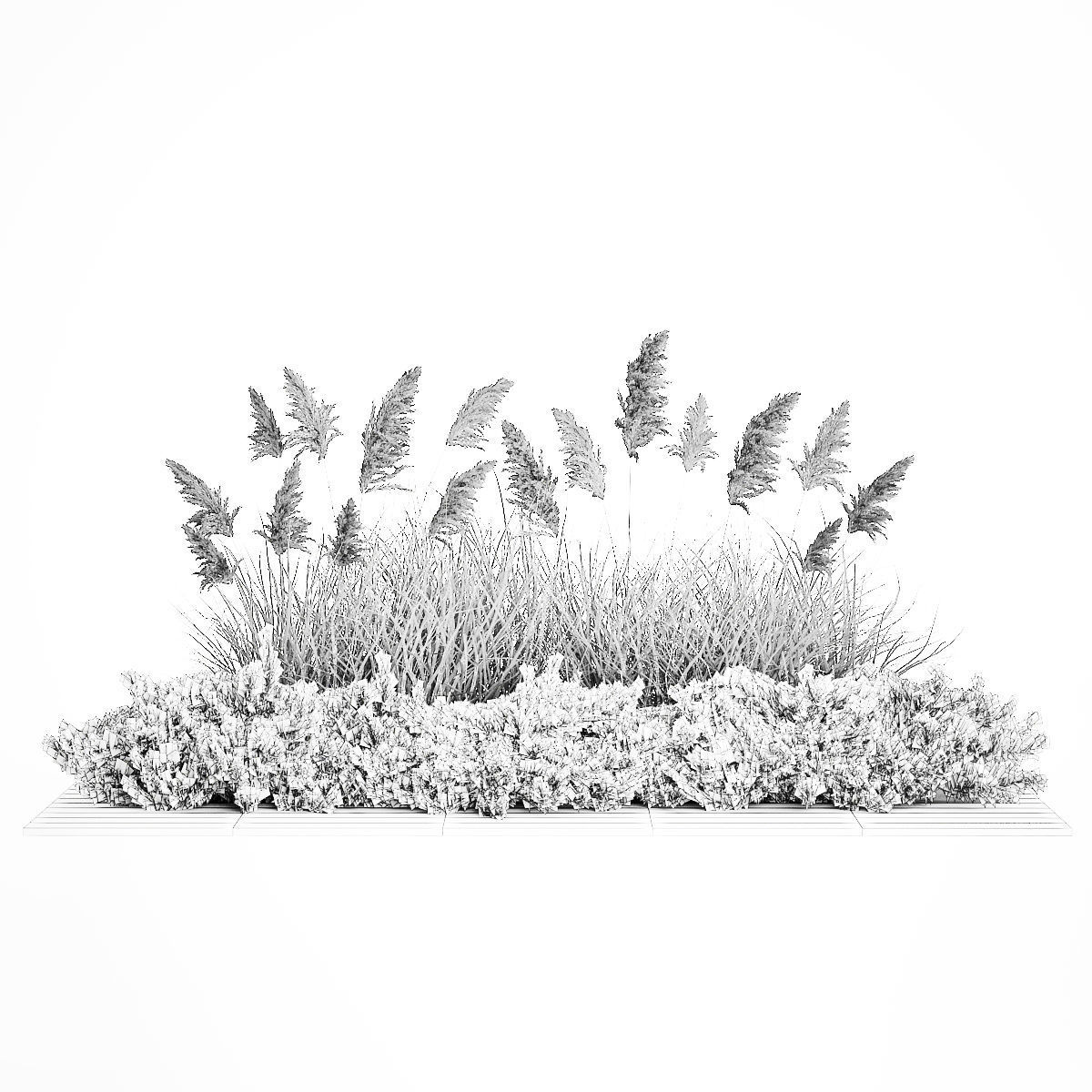 Juniper bushes and pampas grass for landscaping 1171 3D model | CGTrader
