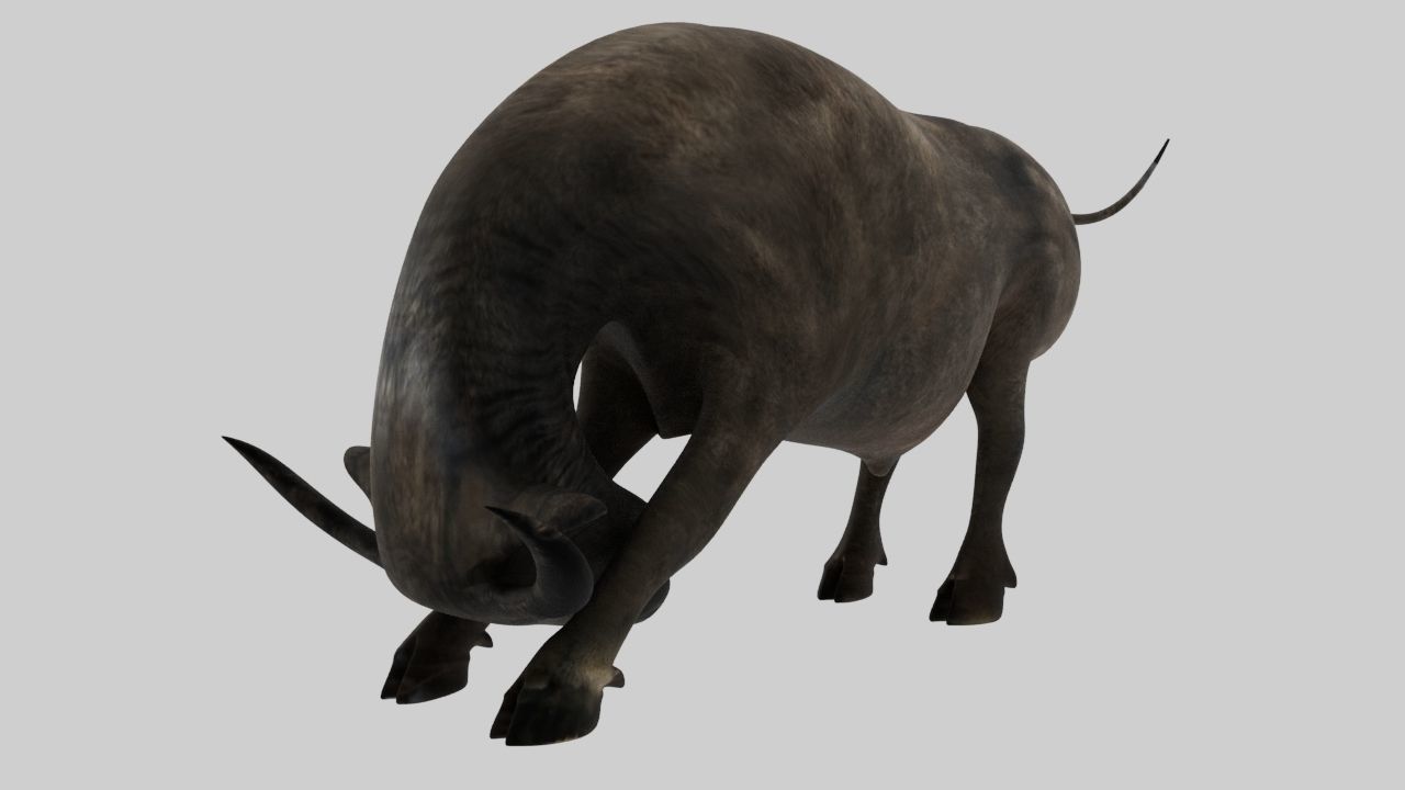 3D model Buffalo Animated VFX Grace VR / AR / low-poly | CGTrader