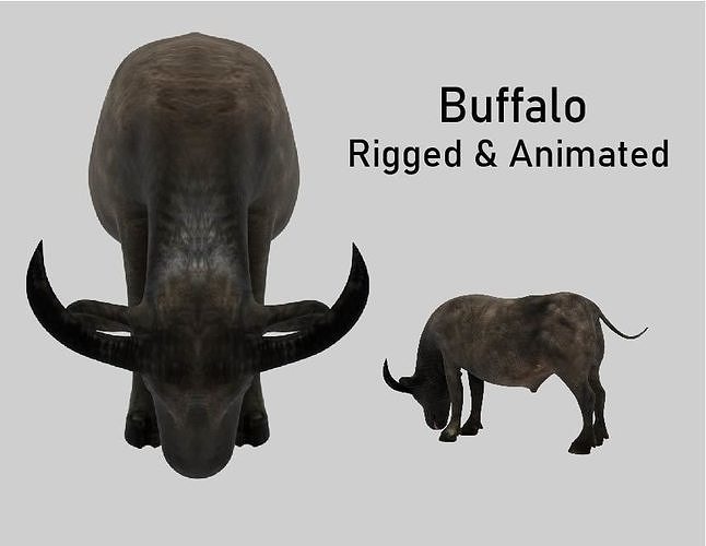 3D model Buffalo Animated VFX Grace VR / AR / low-poly | CGTrader