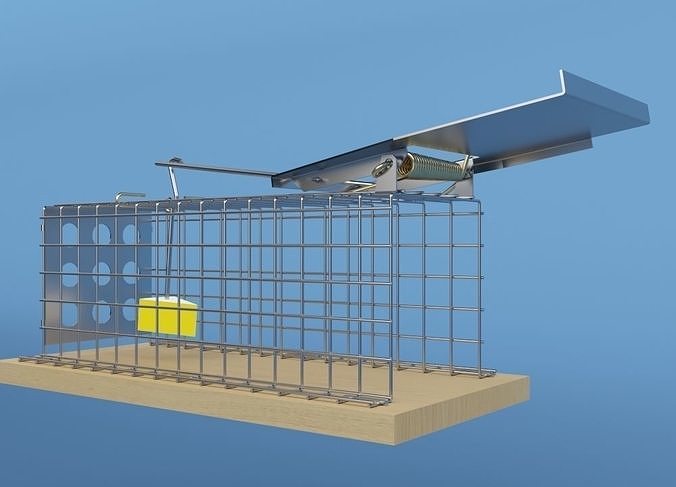 Mouse trap 3D model | CGTrader