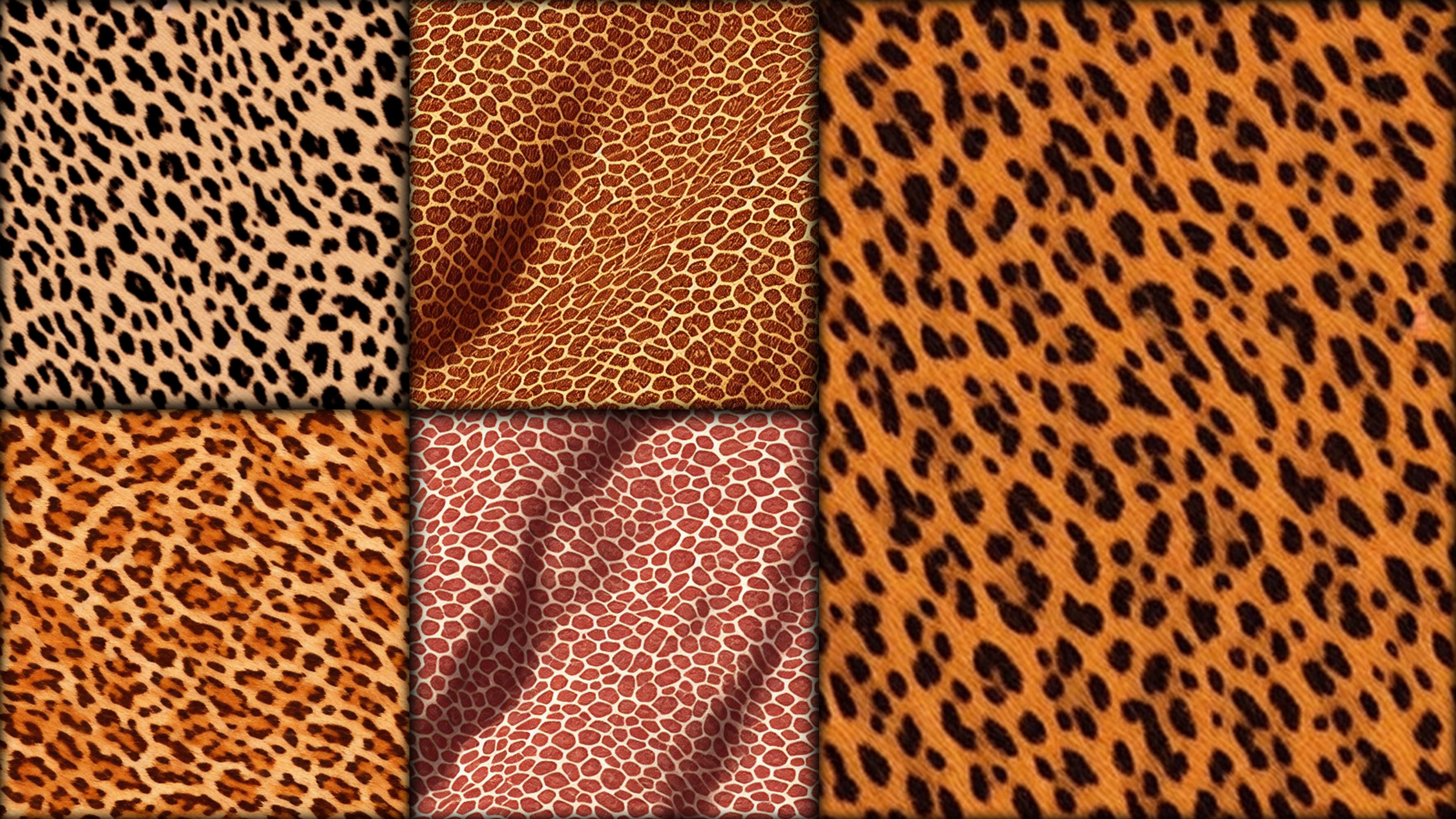 10 Animal Skin Seamless PBR Texture - 4K resolution - Vol 1 Texture ...