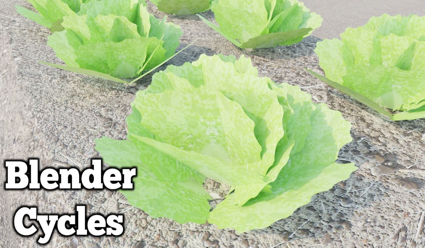 3D model Lettuce Alface PBR lowpoly 3d Model VR / AR / low-poly | CGTrader