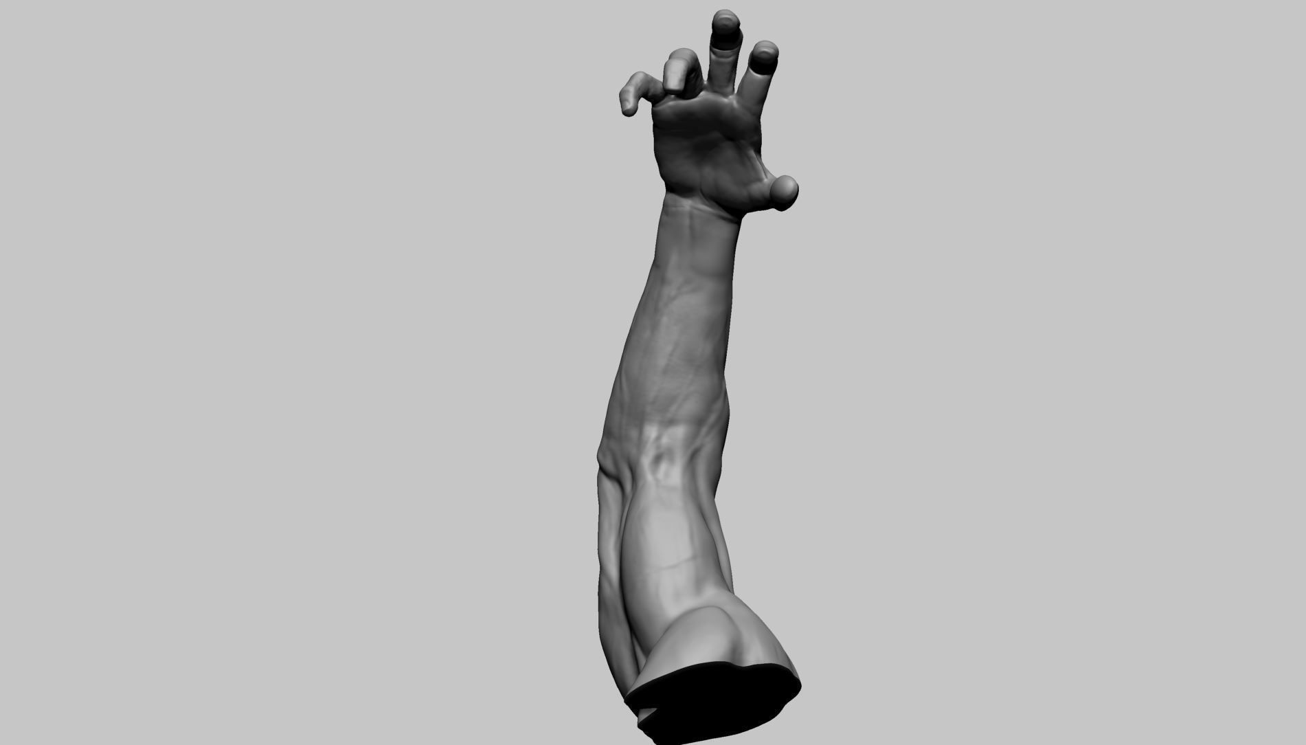 Arm Model Printable A 3D model 3D printable | CGTrader