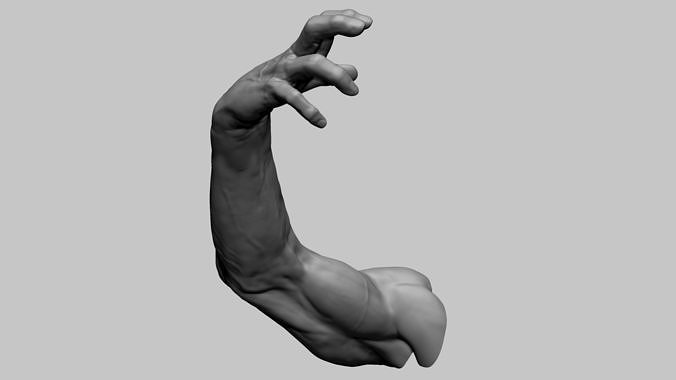 Arm Model Printable A 3D model 3D printable | CGTrader