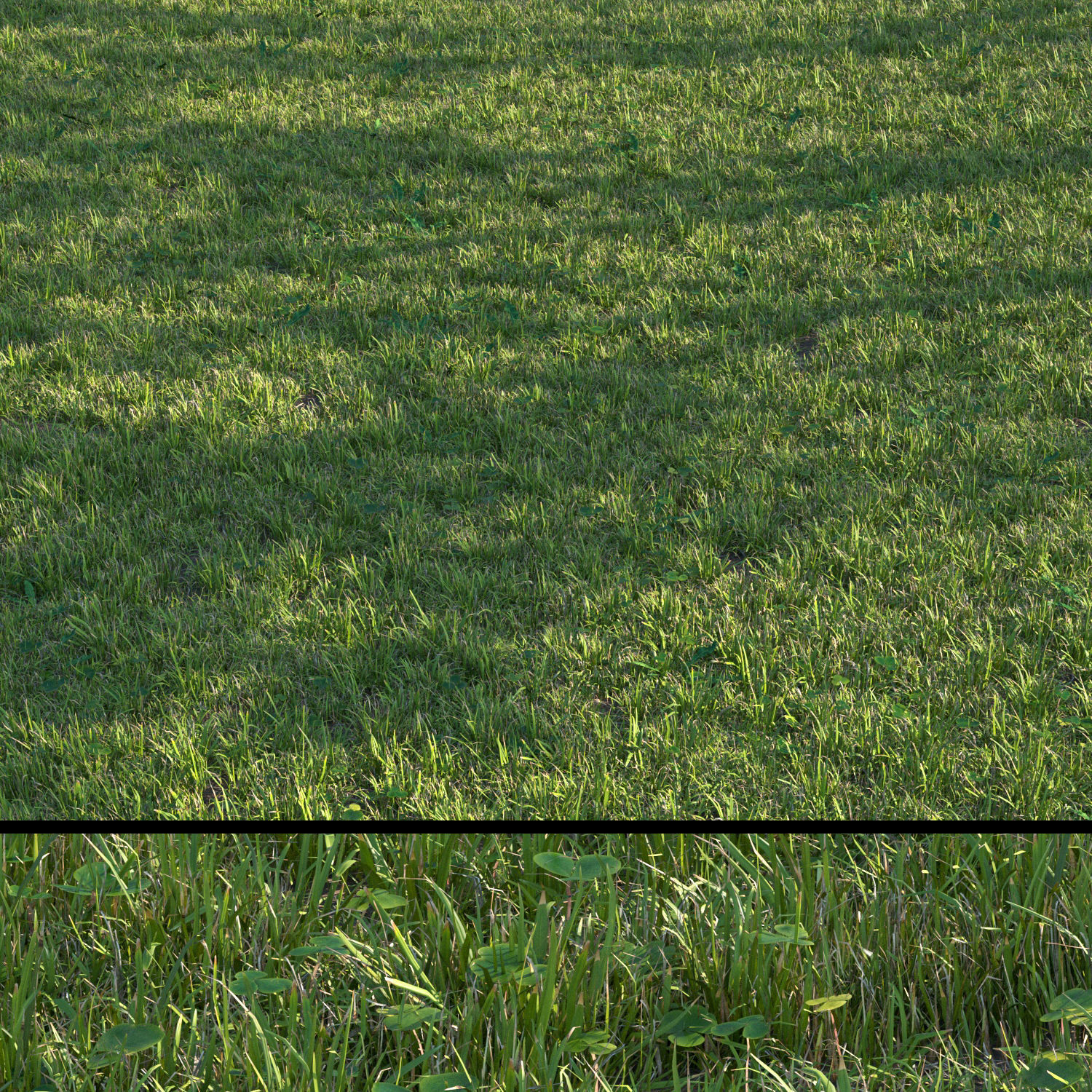 grass set04 3D model | CGTrader