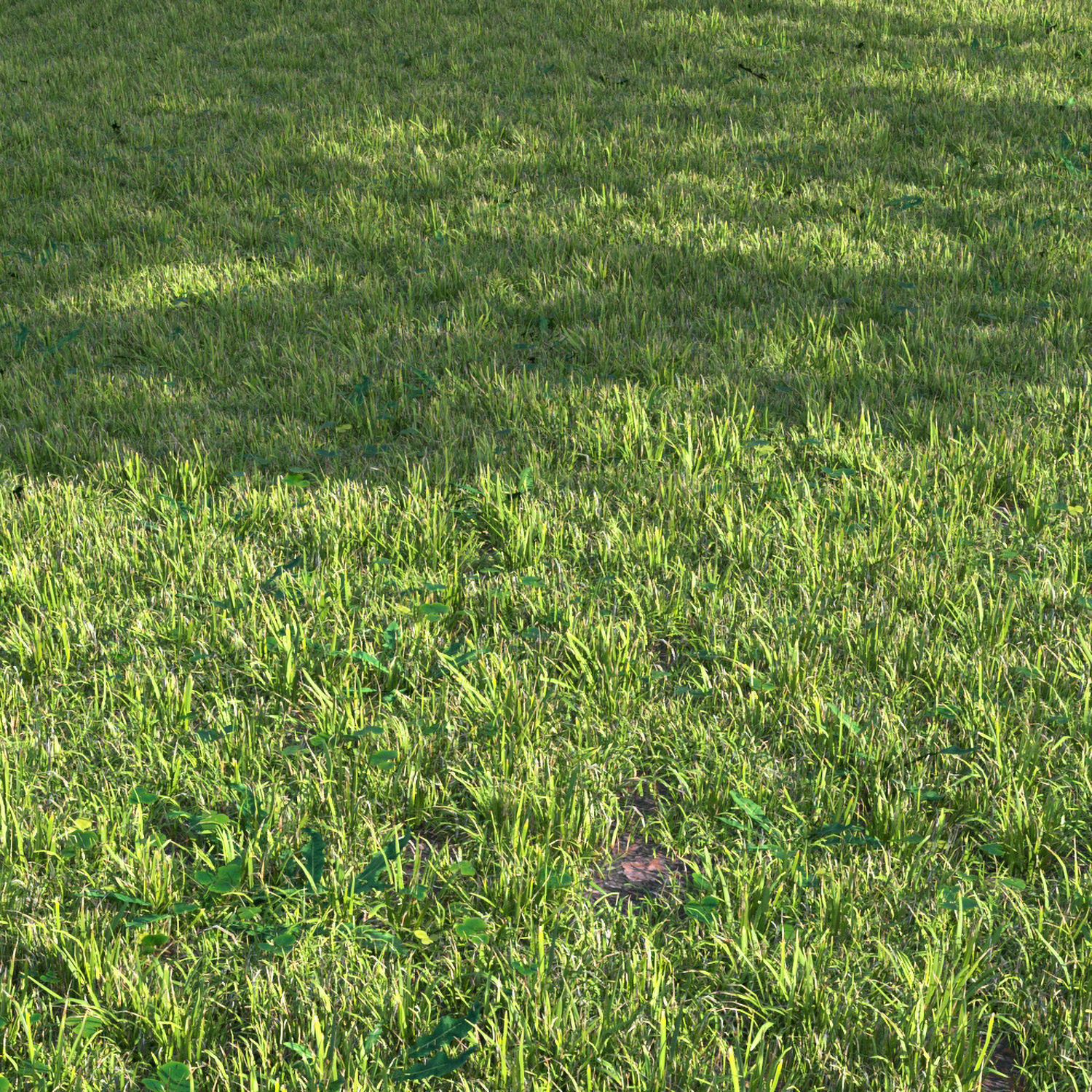 grass set04 3D model | CGTrader