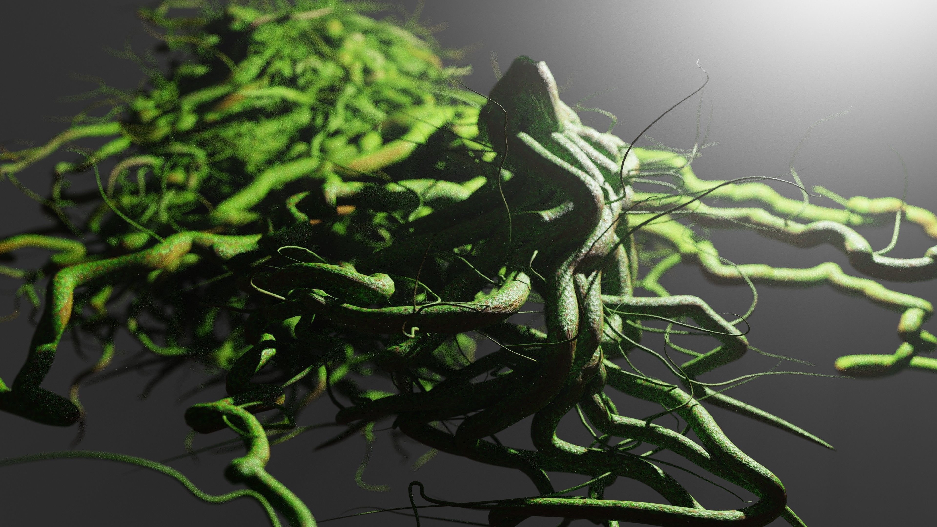 Root generator - Animation Ready - Geometry Nodes 3D model animated ...