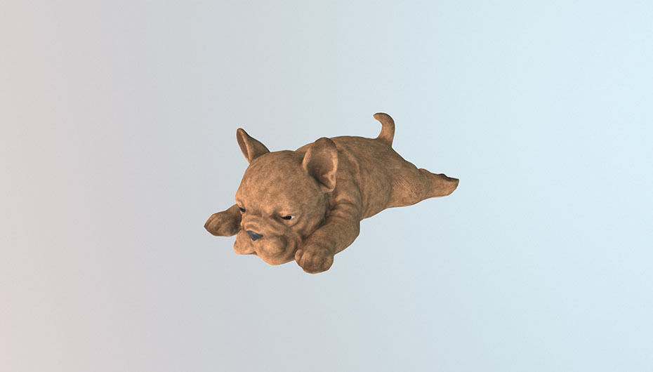 Puppy 01 3D model | CGTrader