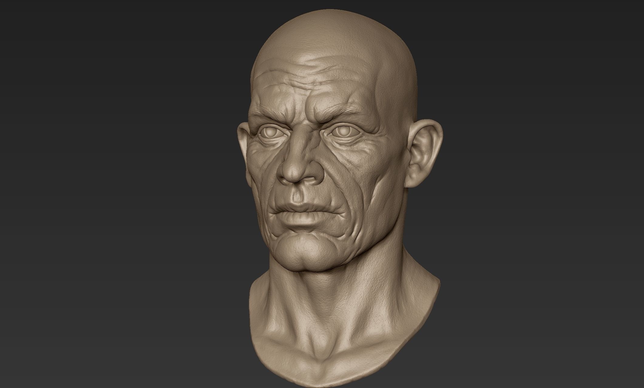 Old Man Head Sculpt 3D model | CGTrader