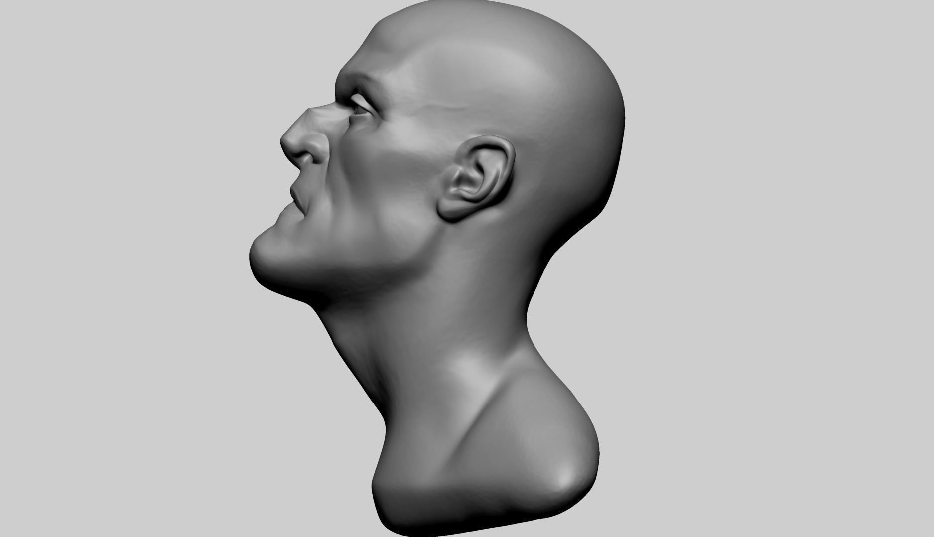 Stylized Male Head D 3D model | CGTrader
