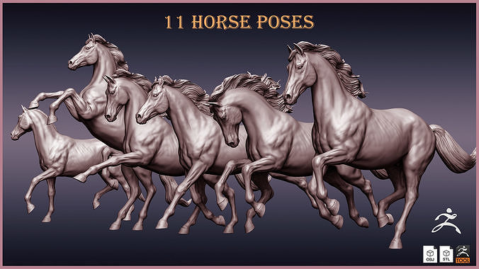11 Horse poses 3D model | CGTrader