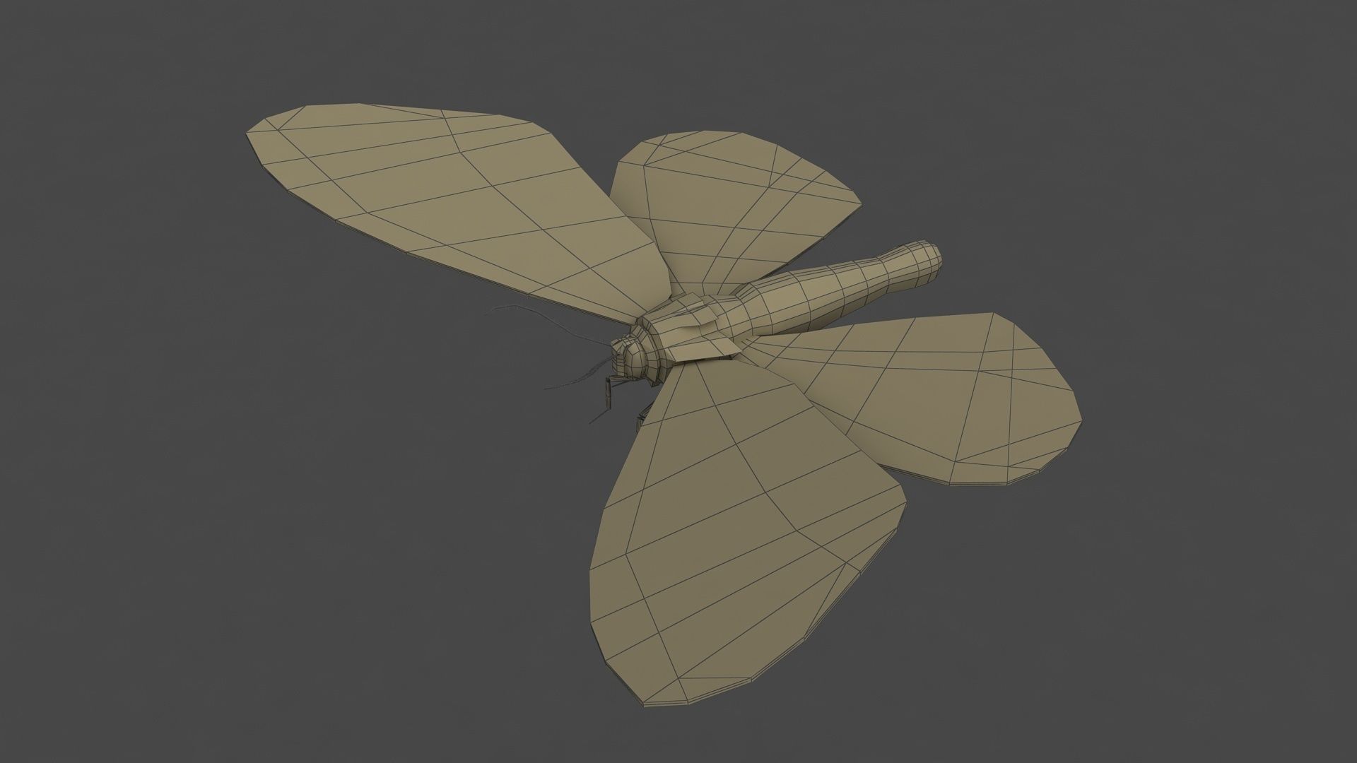 Owl Moth 3D model | CGTrader