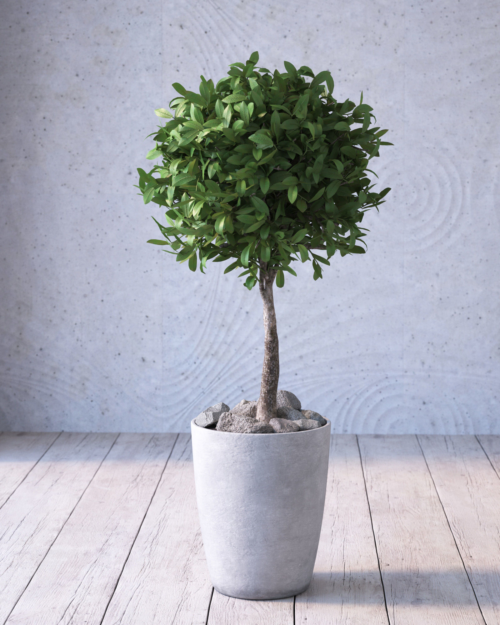 Archmodels vol 268 - collection of indoor plants 3D model | CGTrader