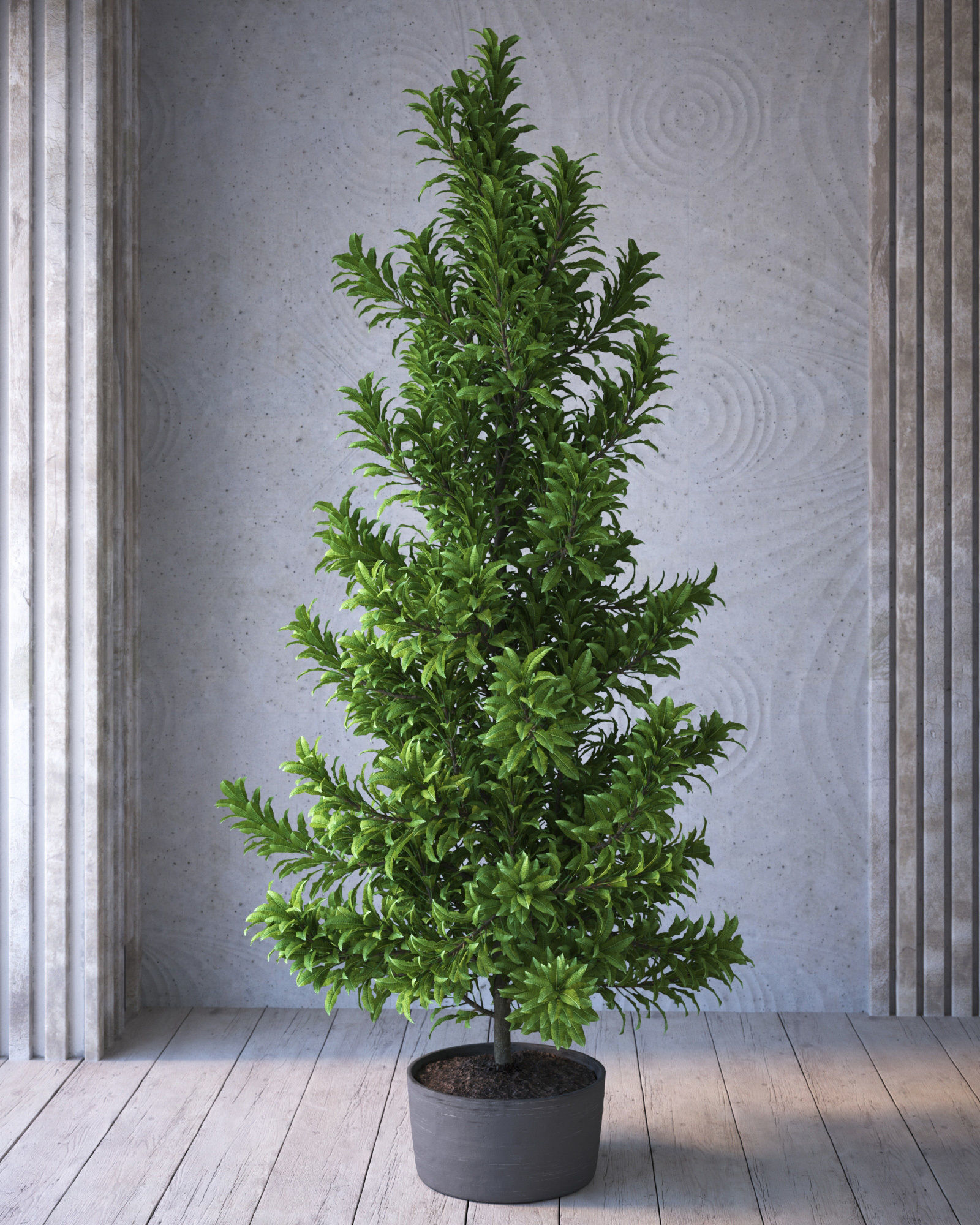 Archmodels vol 268 - collection of indoor plants 3D model | CGTrader