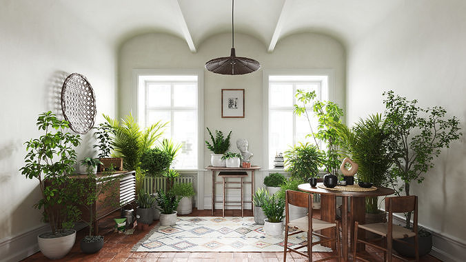 Archmodels vol 268 - collection of indoor plants 3D model | CGTrader