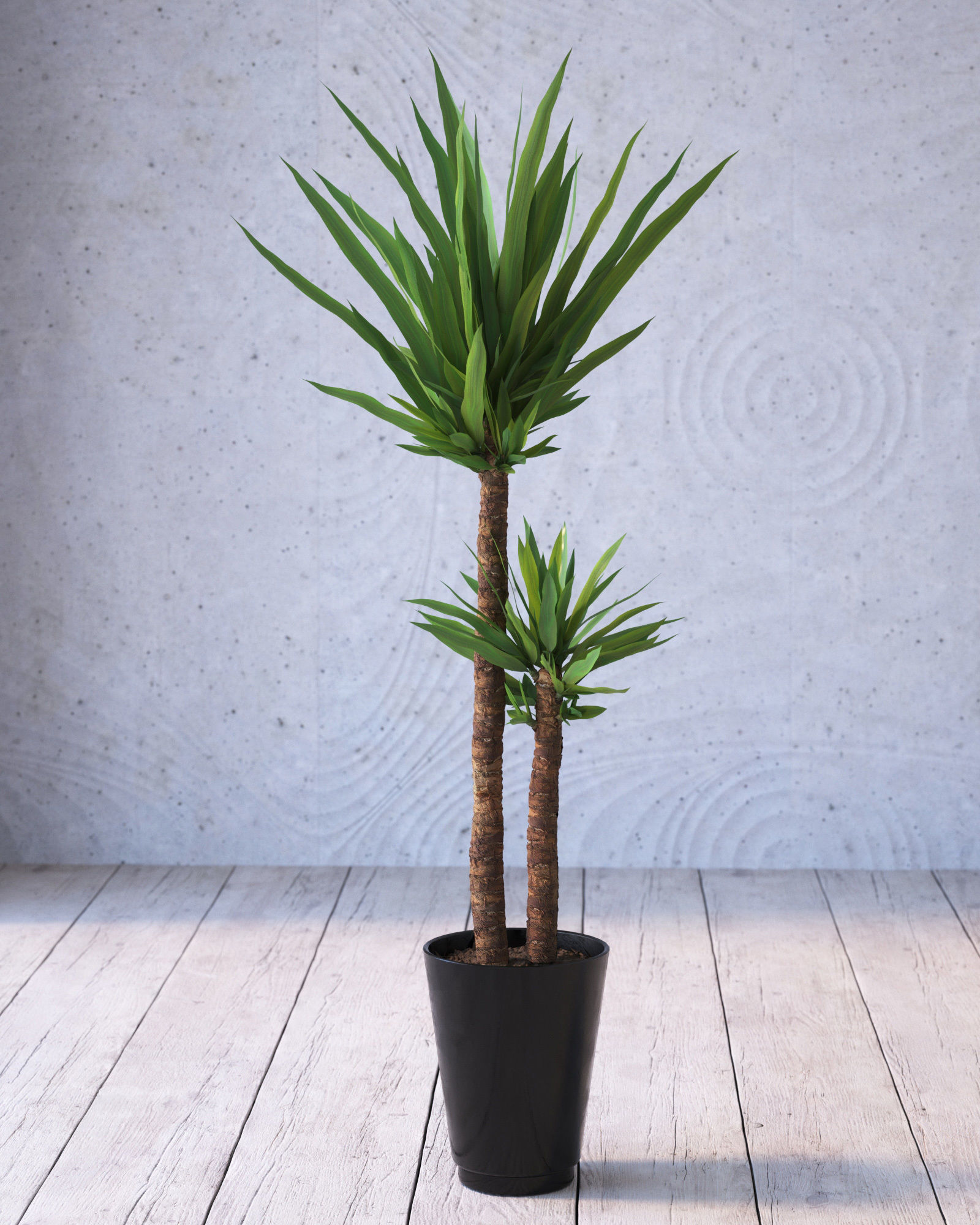 Archmodels vol 268 - collection of indoor plants 3D model | CGTrader