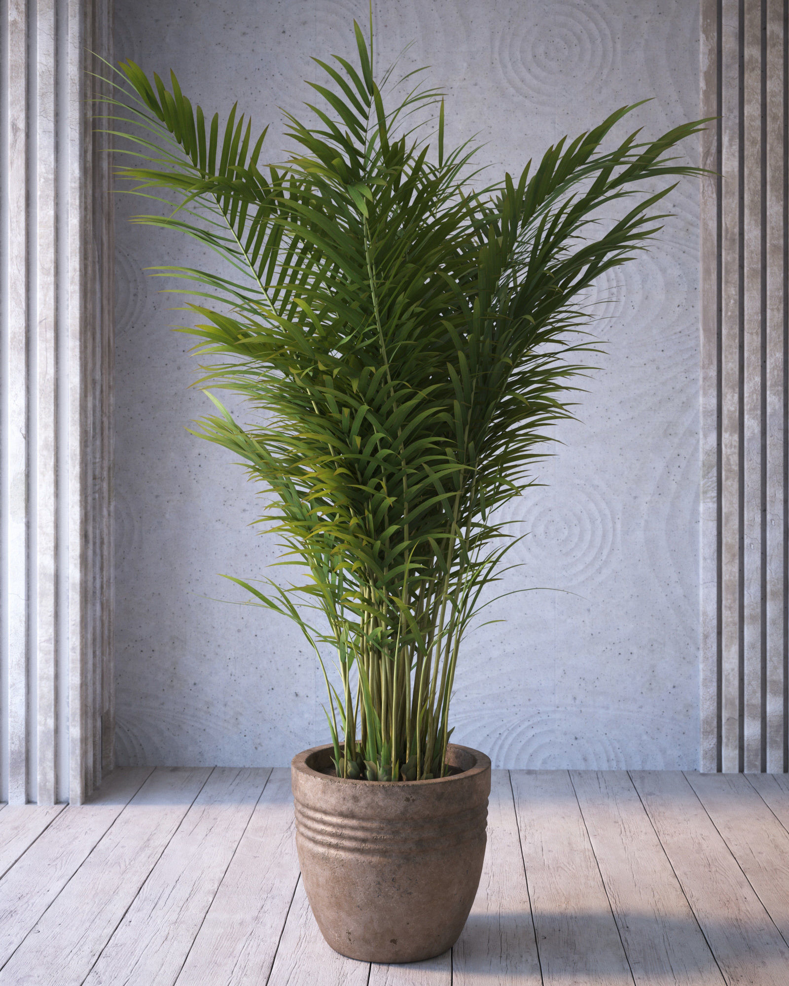 Archmodels vol 268 - collection of indoor plants 3D model | CGTrader
