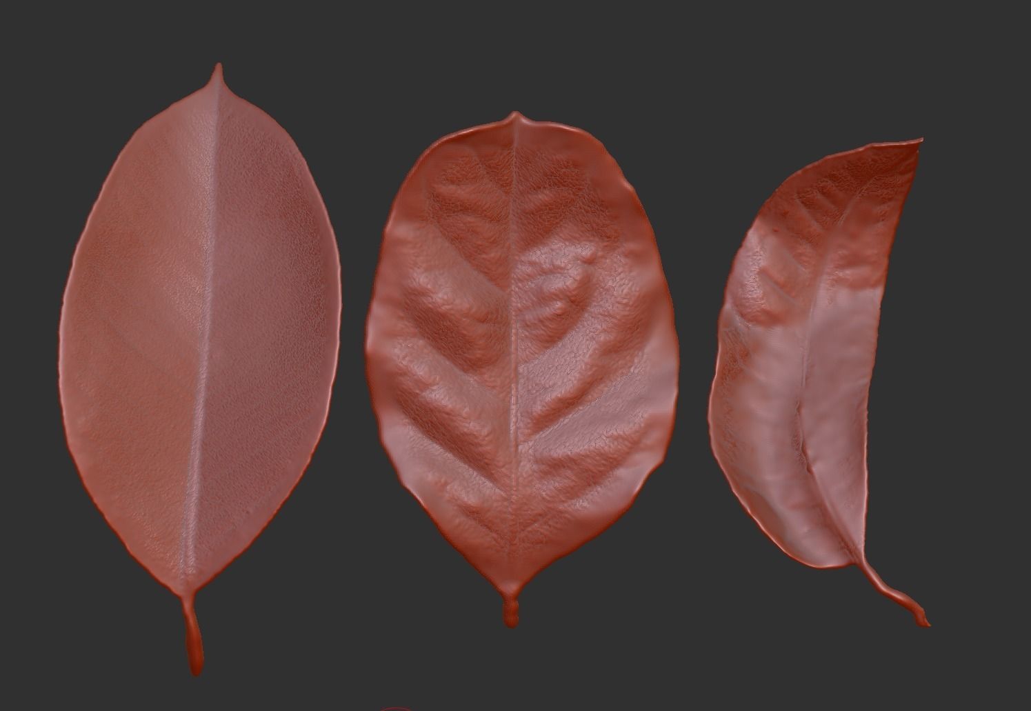 Leaf ZBrush brush 3D printing leaf files Withered leaves 3D model 3D ...