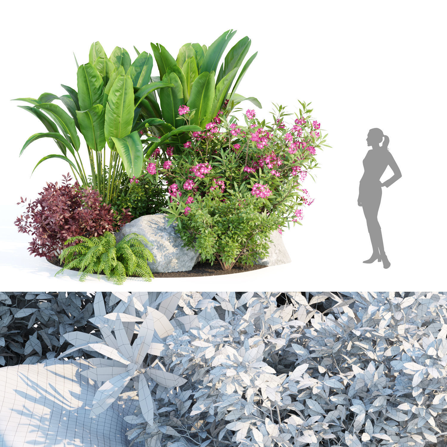 Garden Plants 3D Models collection | CGTrader