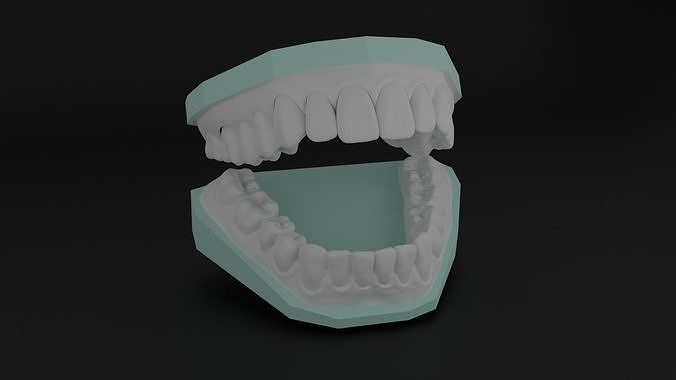Human teeth 3D model 3D printable | CGTrader