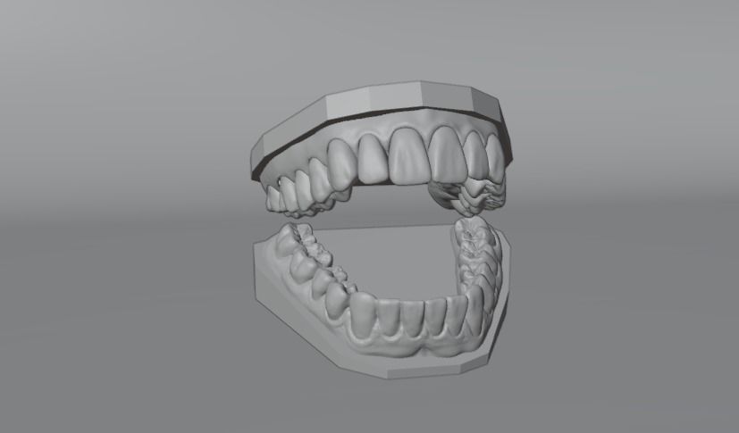 Human teeth 3D model 3D printable | CGTrader