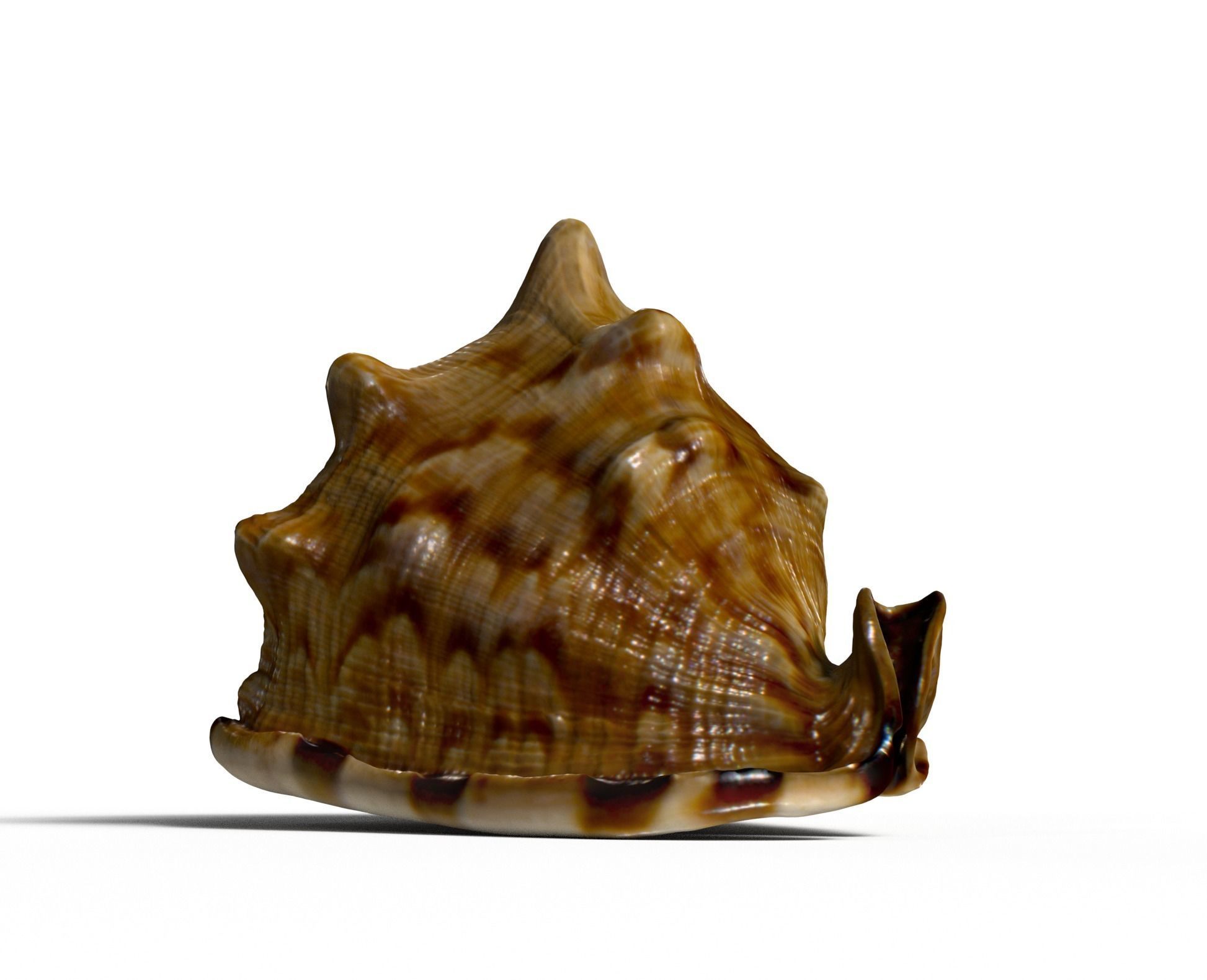 Queen Helmet shell 3D model | CGTrader