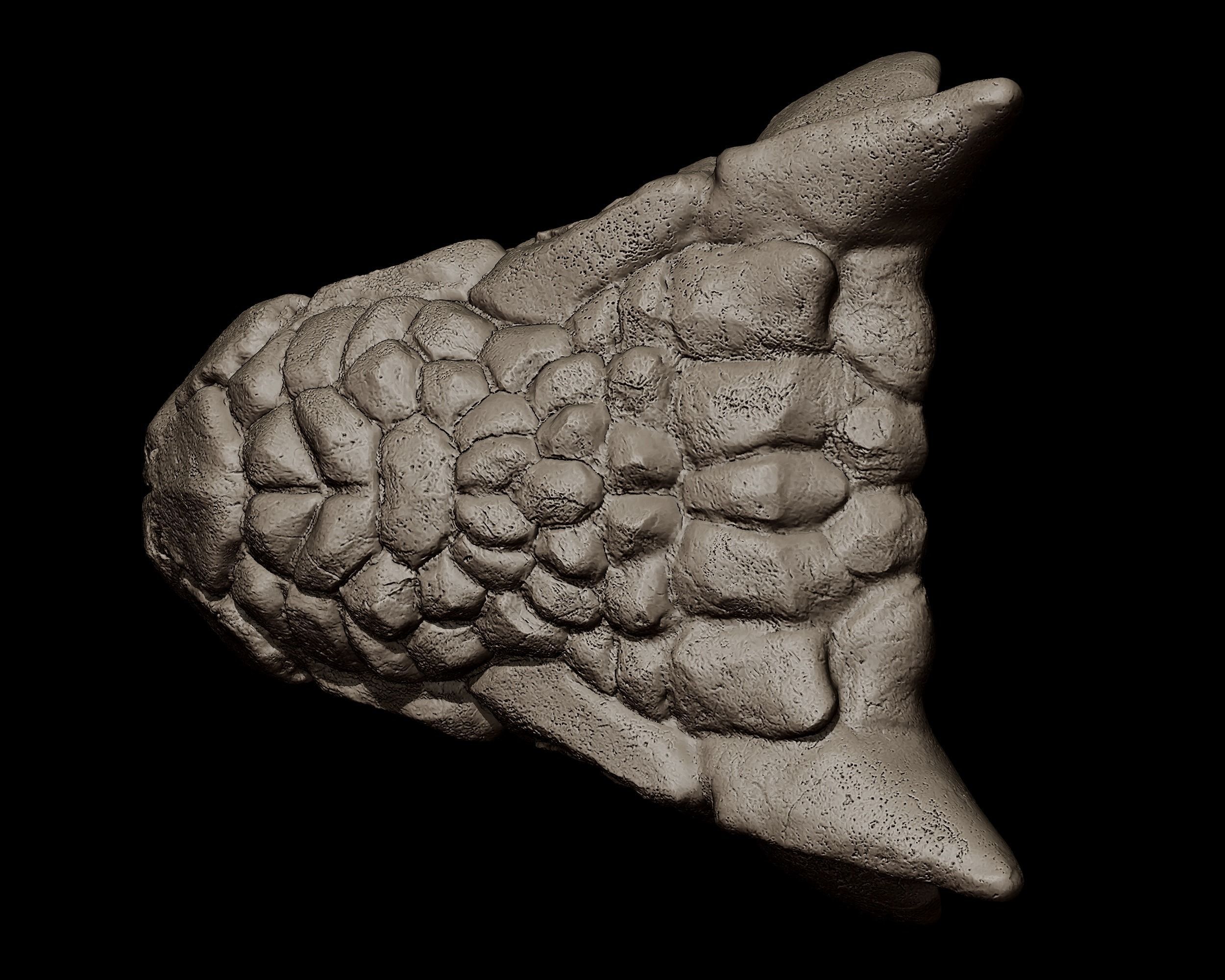 Ankylosaurus Skull 3D model 3D printable | CGTrader