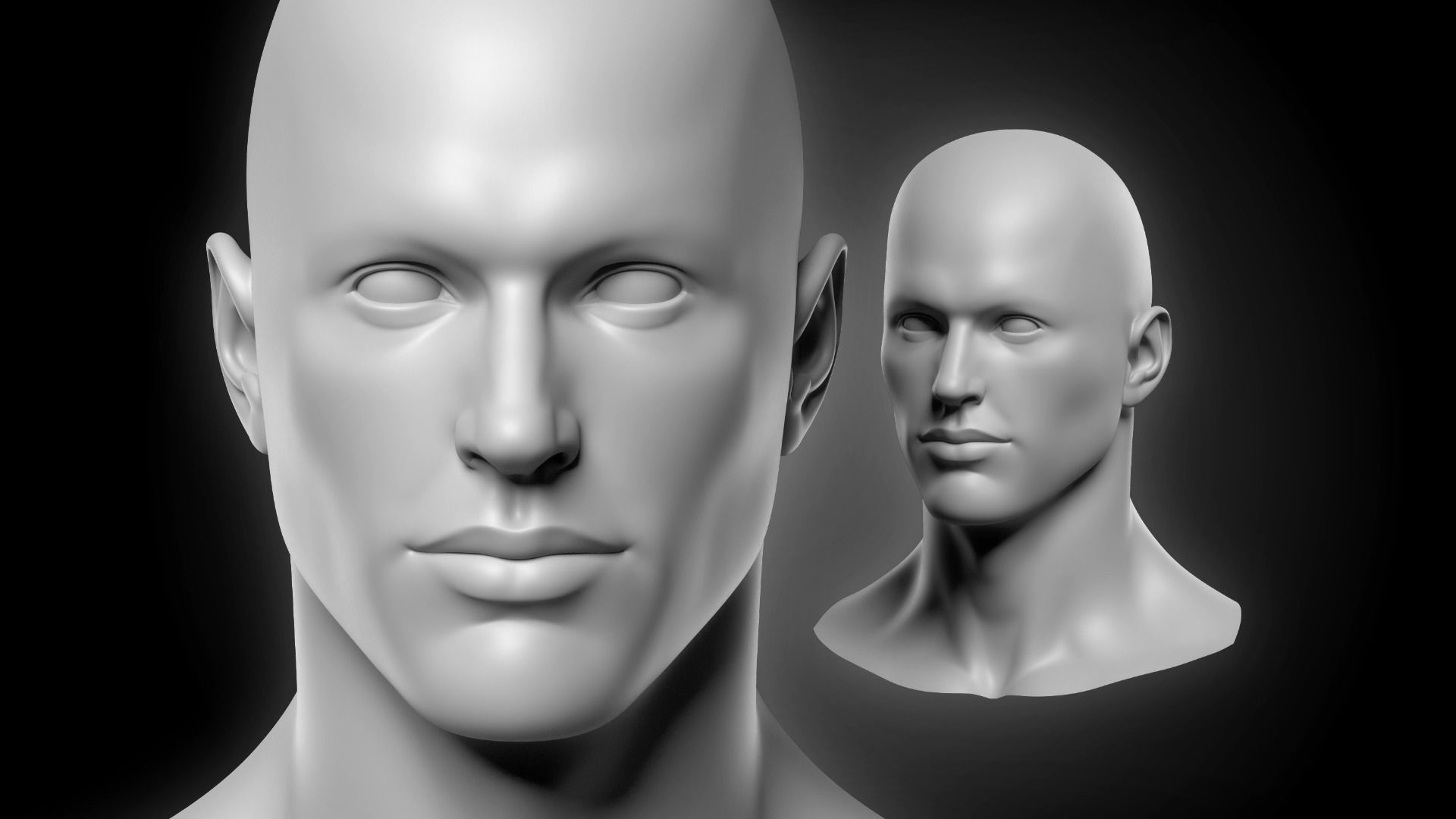 Realistic Man Head Basemesh 3D model | CGTrader