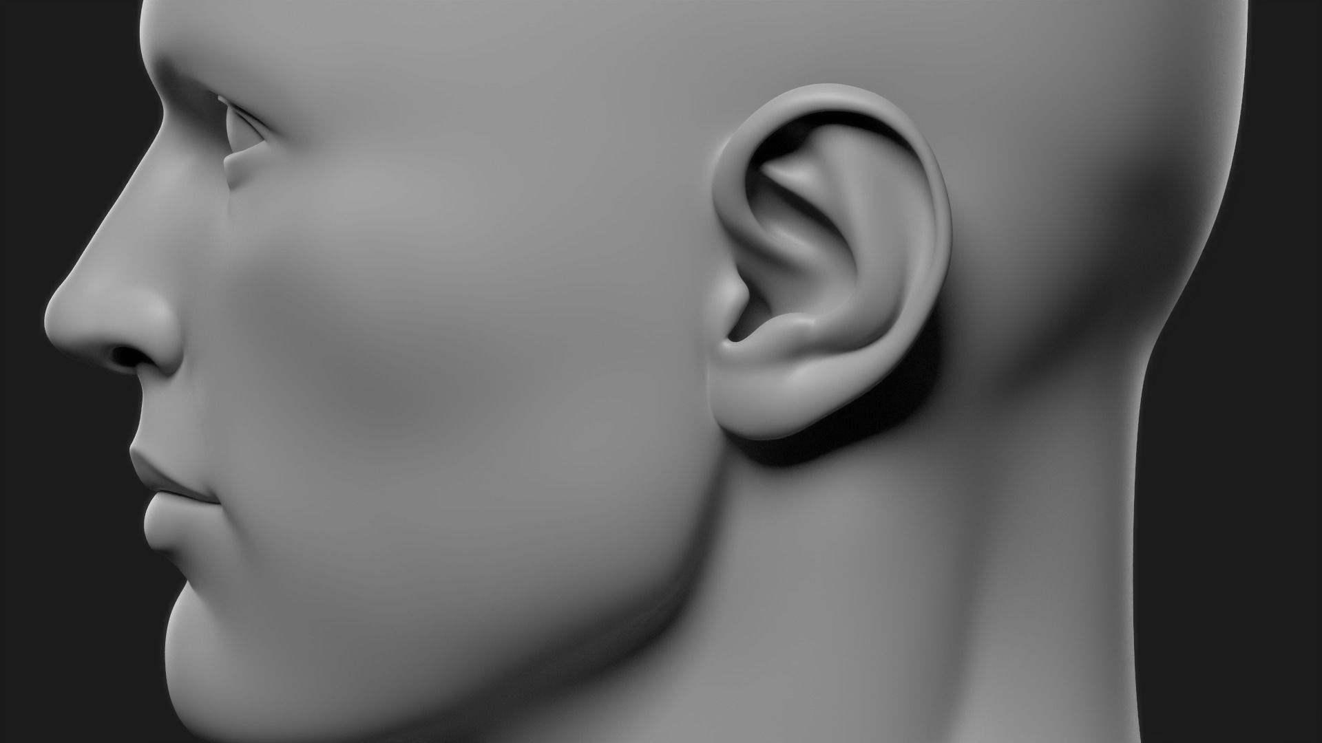 Realistic Man Head Basemesh 3D model | CGTrader