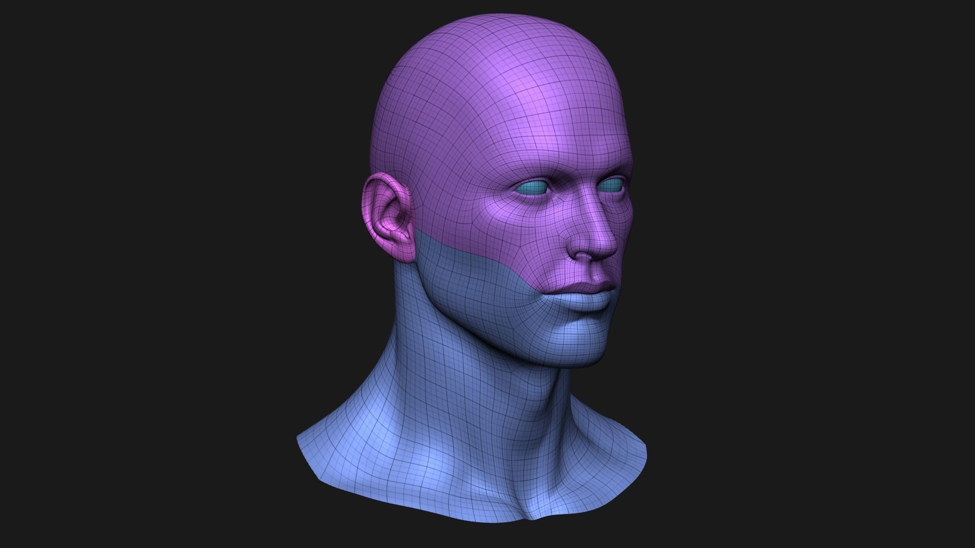 Realistic Man Head Basemesh 3D model | CGTrader